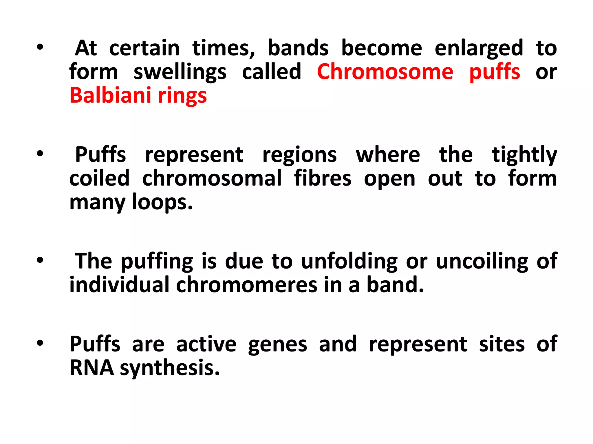 SPECIAL TYPES OF CHROMOSOMES SMG | PPTX