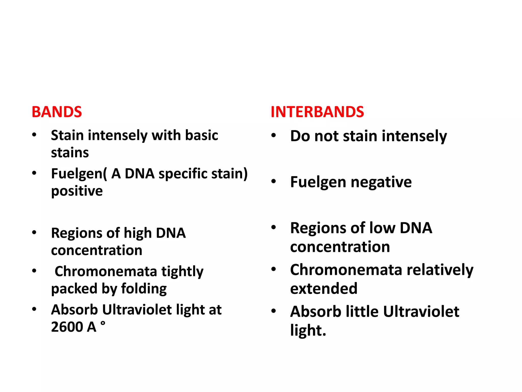 SPECIAL TYPES OF CHROMOSOMES SMG | PPTX