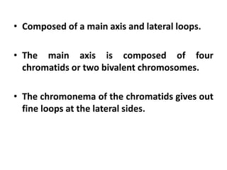 SPECIAL TYPES OF CHROMOSOMES SMG | PPTX