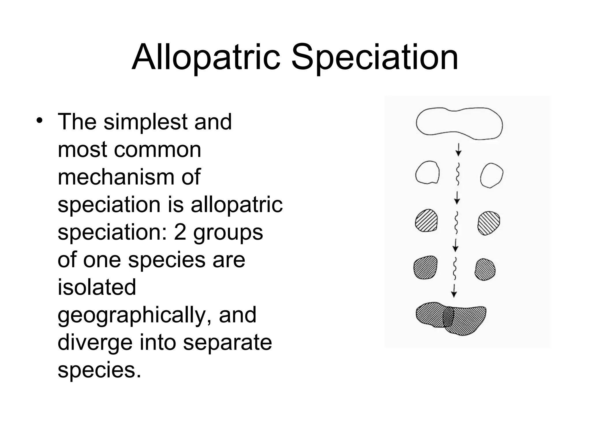 Speciation | PPT