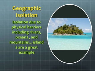 Speciation | PPT