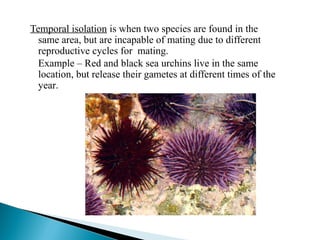 Speciation | PPT