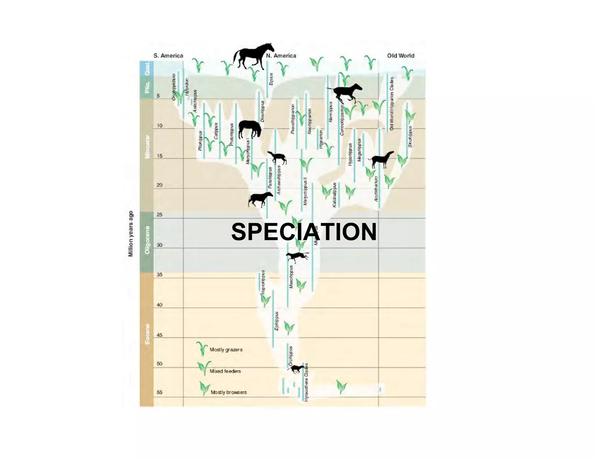 Speciation | PDF