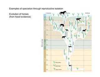 Speciation | PDF