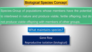 Speciation and its type | PDF
