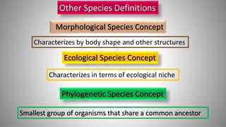 Speciation and its type | PDF