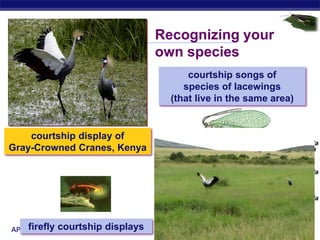 Speciation.ppt