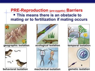 Speciation.ppt