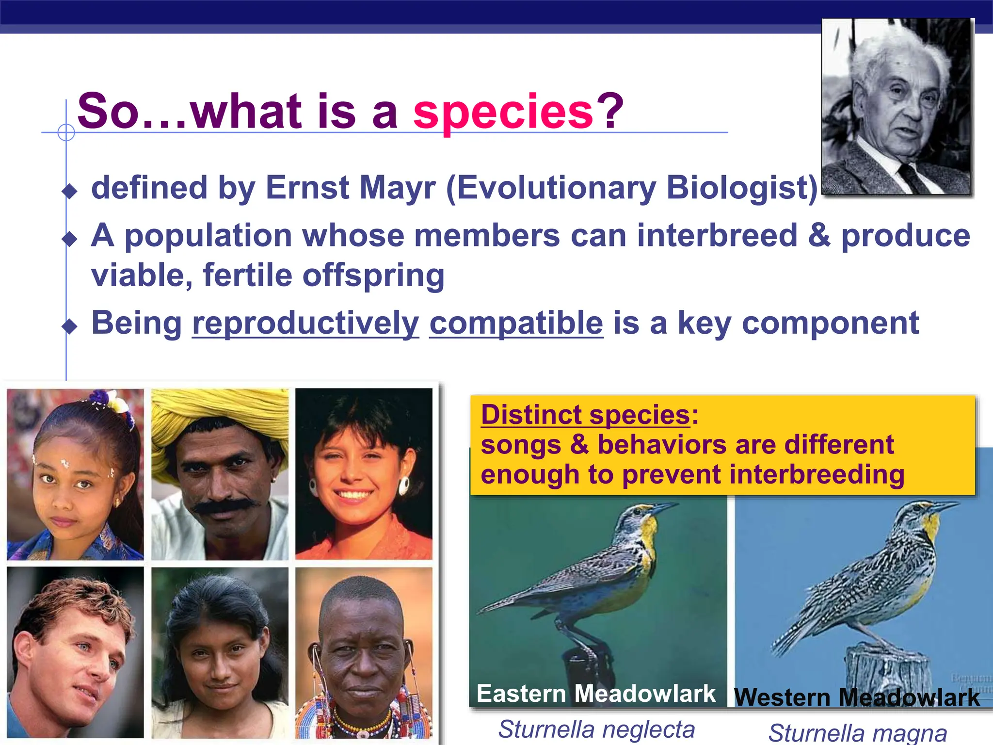Speciation Types AP Biology Presentation | PPT