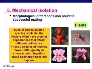 Speciation Types AP Biology Presentation | PPT