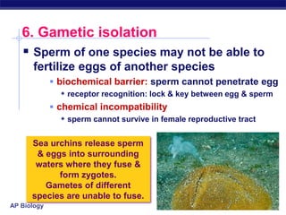 Speciation Types AP Biology Presentation | PPT