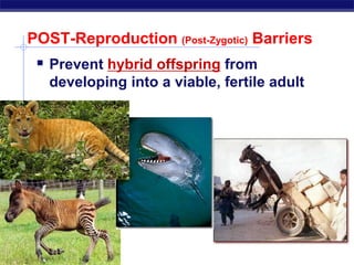 Speciation Types AP Biology Presentation | PPT