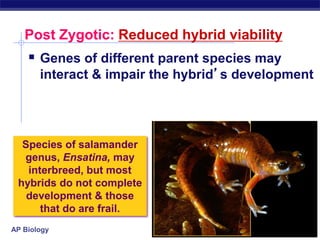 Speciation Types AP Biology Presentation | PPT