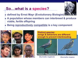 Speciation Types AP Biology Presentation | PPT