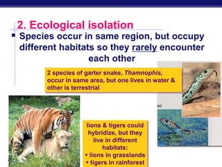 Speciation Types AP Biology Presentation | PPT