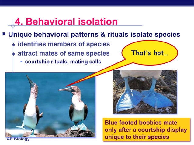Speciation Types AP Biology Presentation | PPT