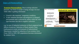 Speciation, types & role of ecology in speciation | PPTX