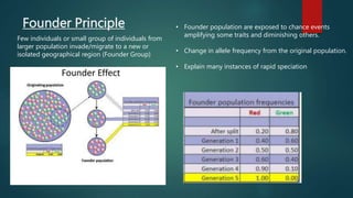 Speciation, types & role of ecology in speciation | PPTX