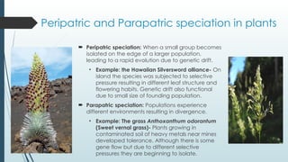 SPECIATION in plants based on phylogeny.pptx