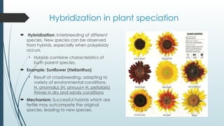 SPECIATION in plants based on phylogeny.pptx