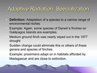 Speciation and-evolution-1204077108861903-5 | PPT