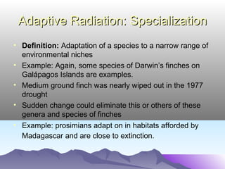 Speciation and-evolution- | PPT