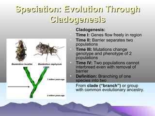 Evolution Speciation