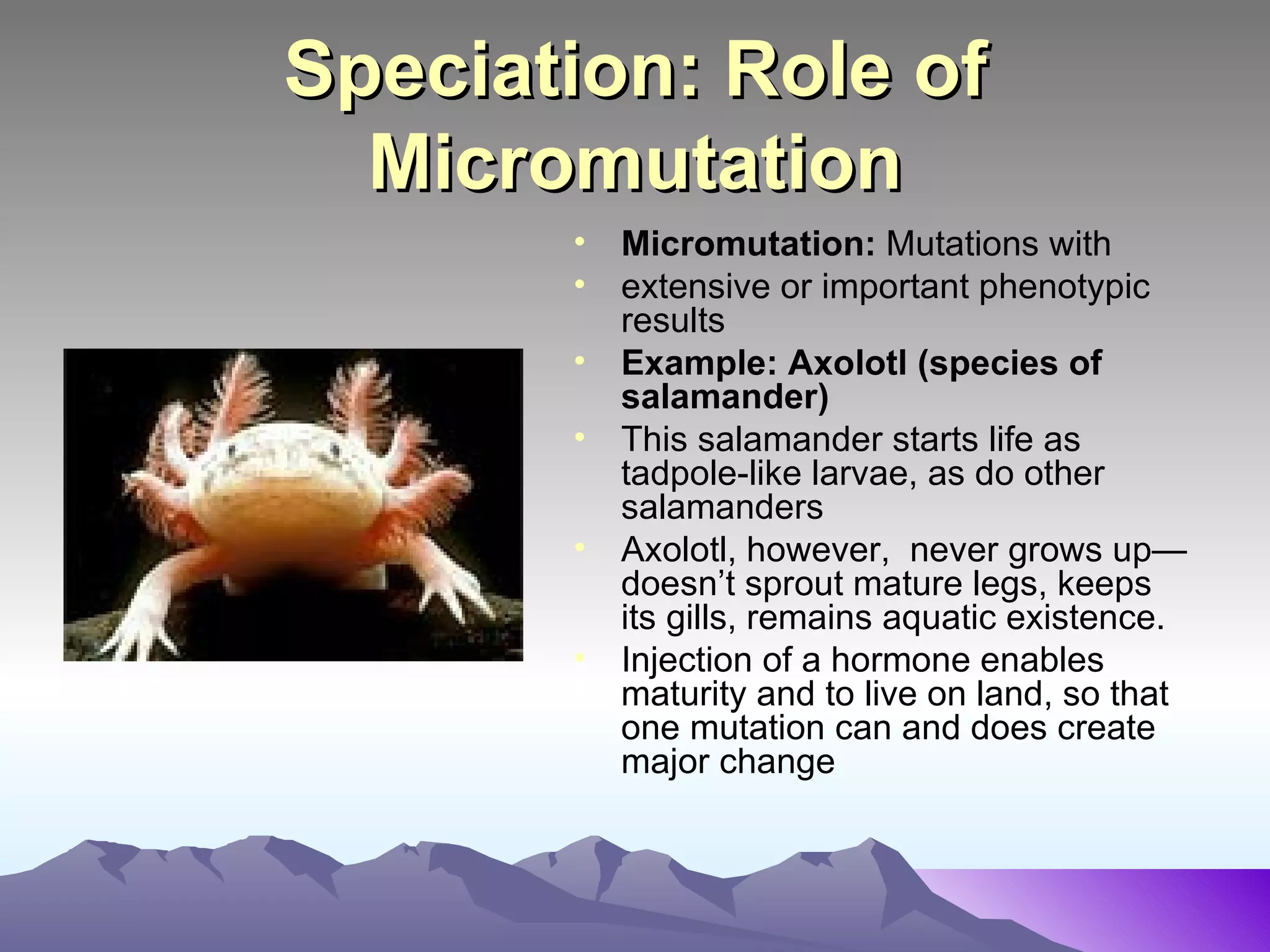 Speciation And Evolution Ppt Geography Science