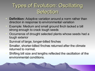 Speciation and Evolution | PPT