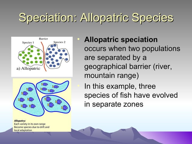 Speciation and Evolution | PPT | Geography | Science