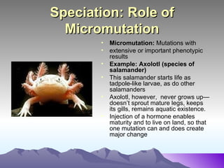 Speciation and Evolution | PPT