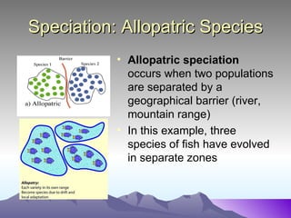 Speciation Definition Evolution
