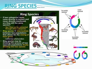 Speciation copy | PPTX