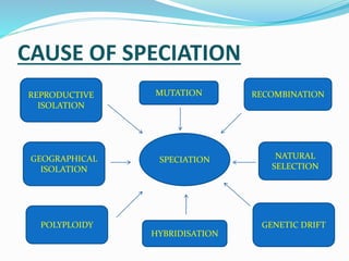 Speciation copy | PPTX