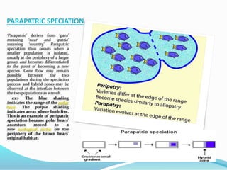 Speciation copy | PPTX