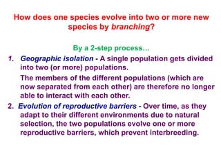 Speciation 2013 | PPT | Free Download