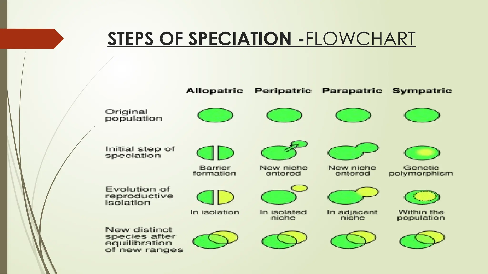 SPECIATION AND EXTINCTION - environmental biotechnology | PPTX