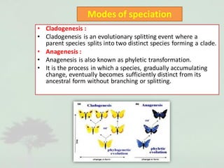 Speciation in insects. | PDF