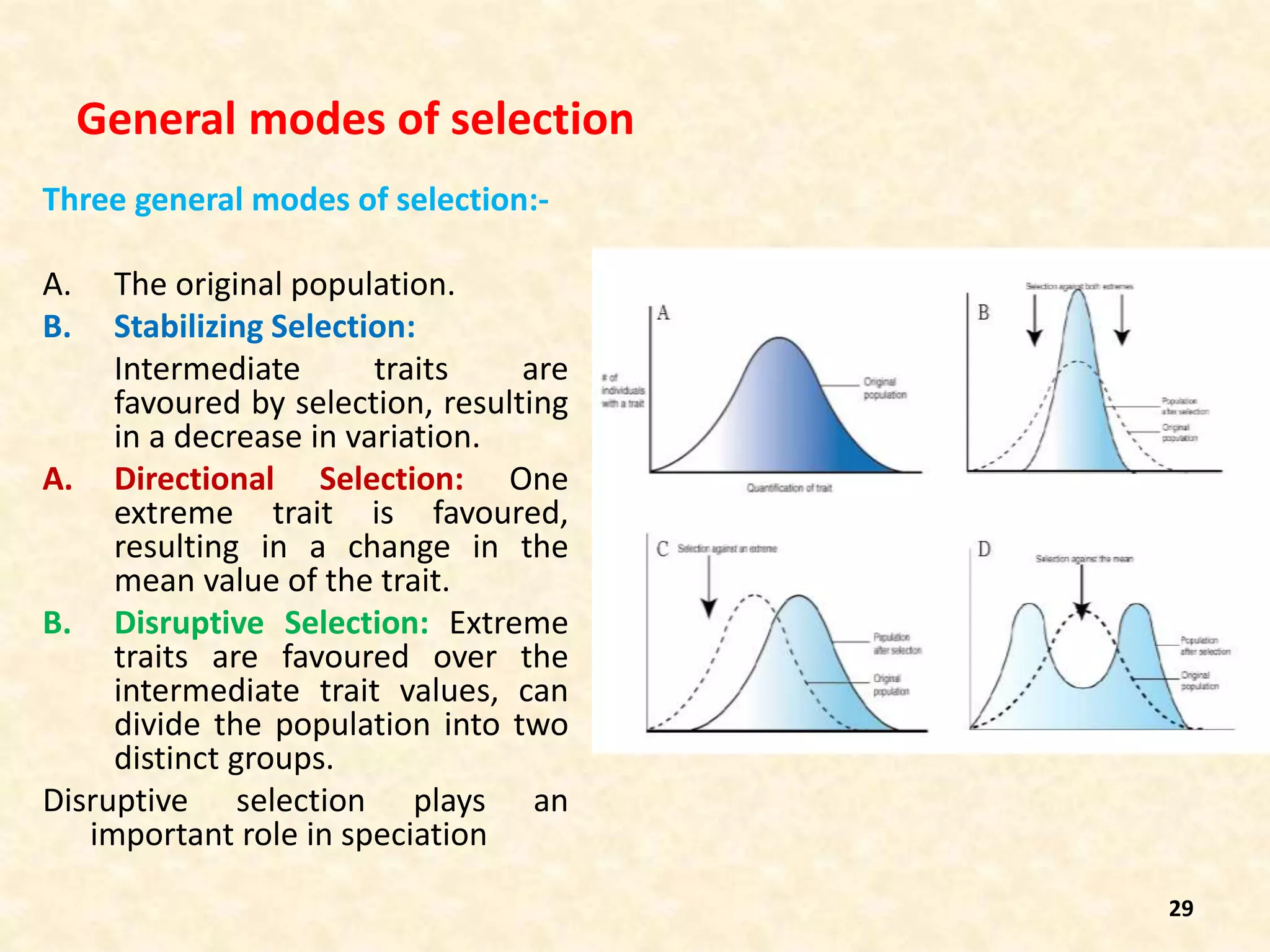 best ever ppt on speciation by Nagesh sadili | PPTX