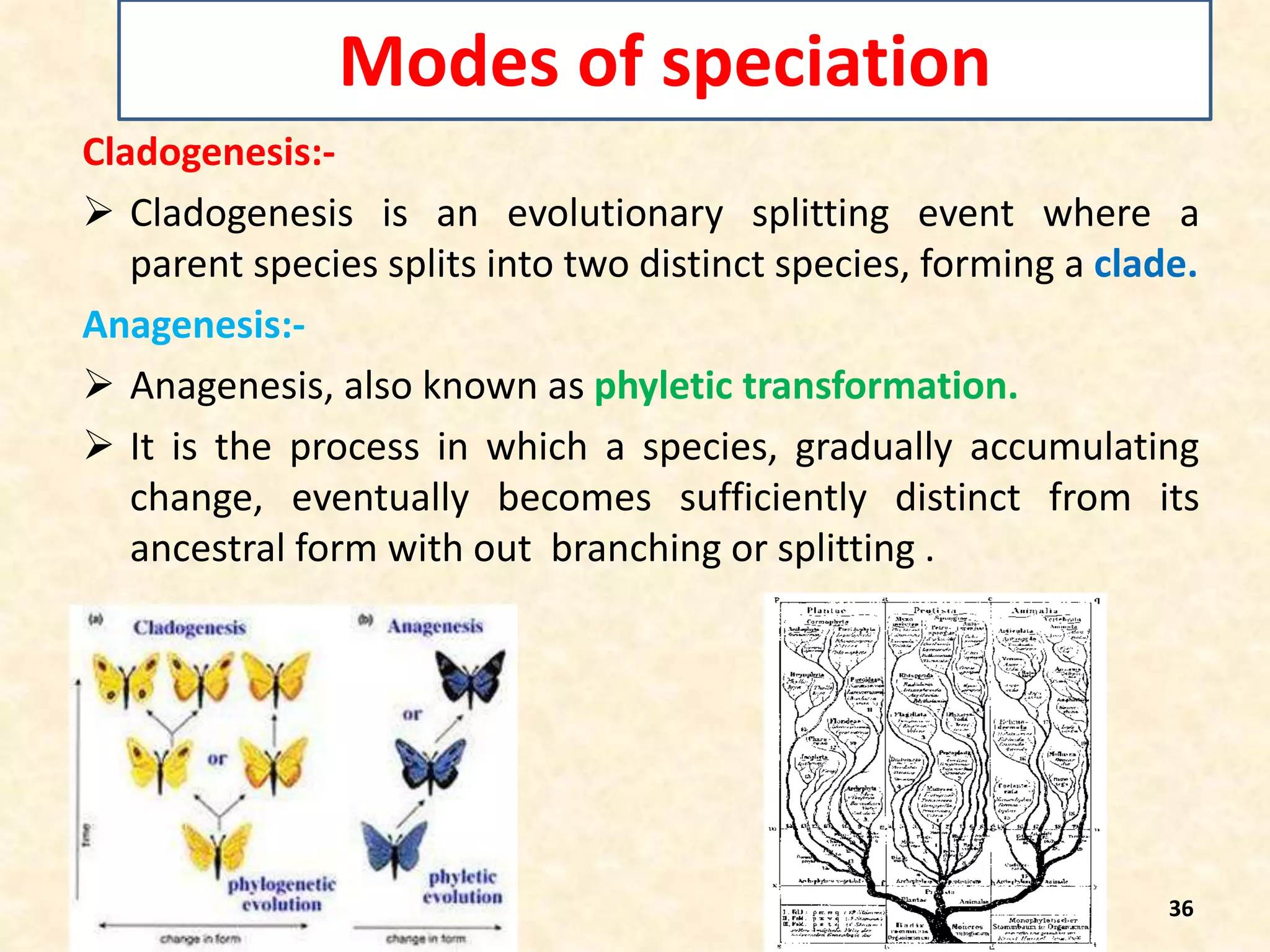 best ever ppt on speciation by Nagesh sadili | PPTX