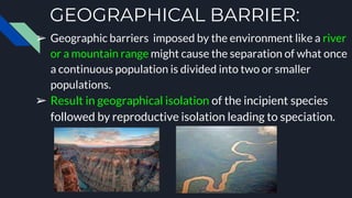 SPECIATION_PoojaSoni.pptx