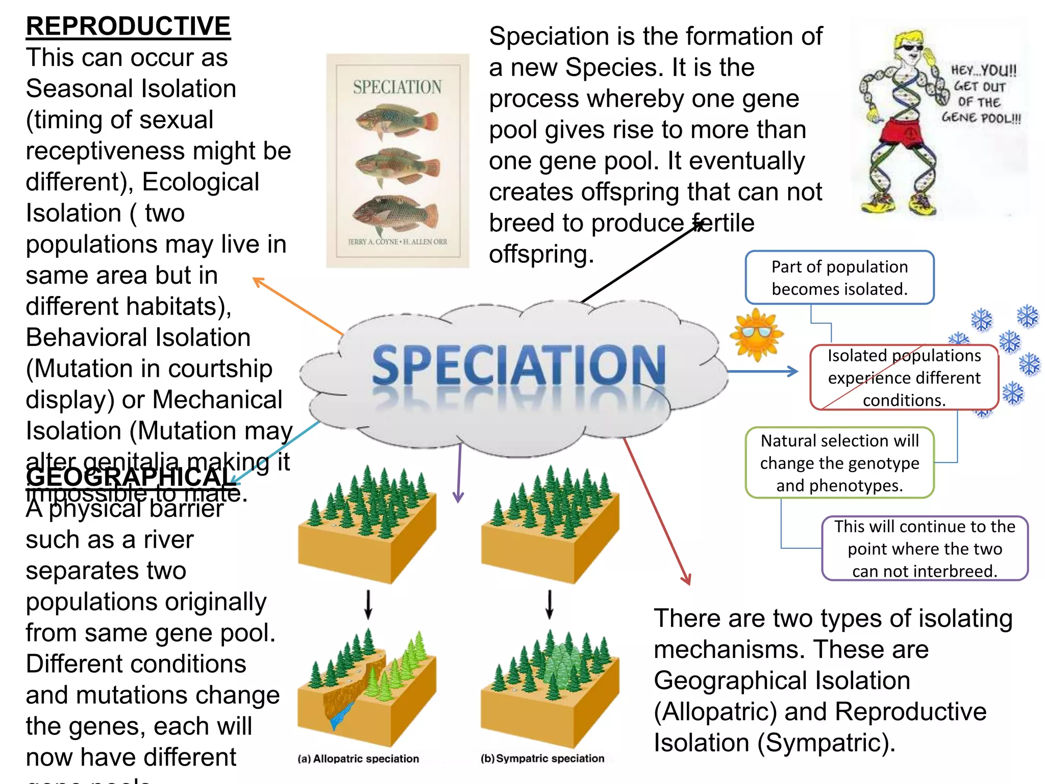 Speciation powerpoint | PPTX