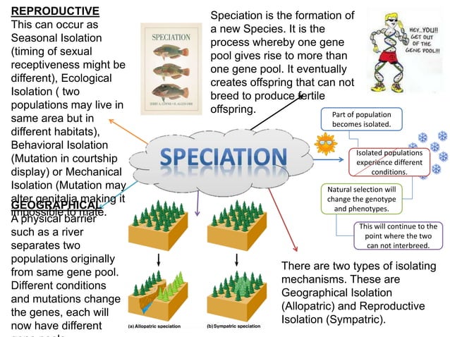 Speciation powerpoint | PPTX