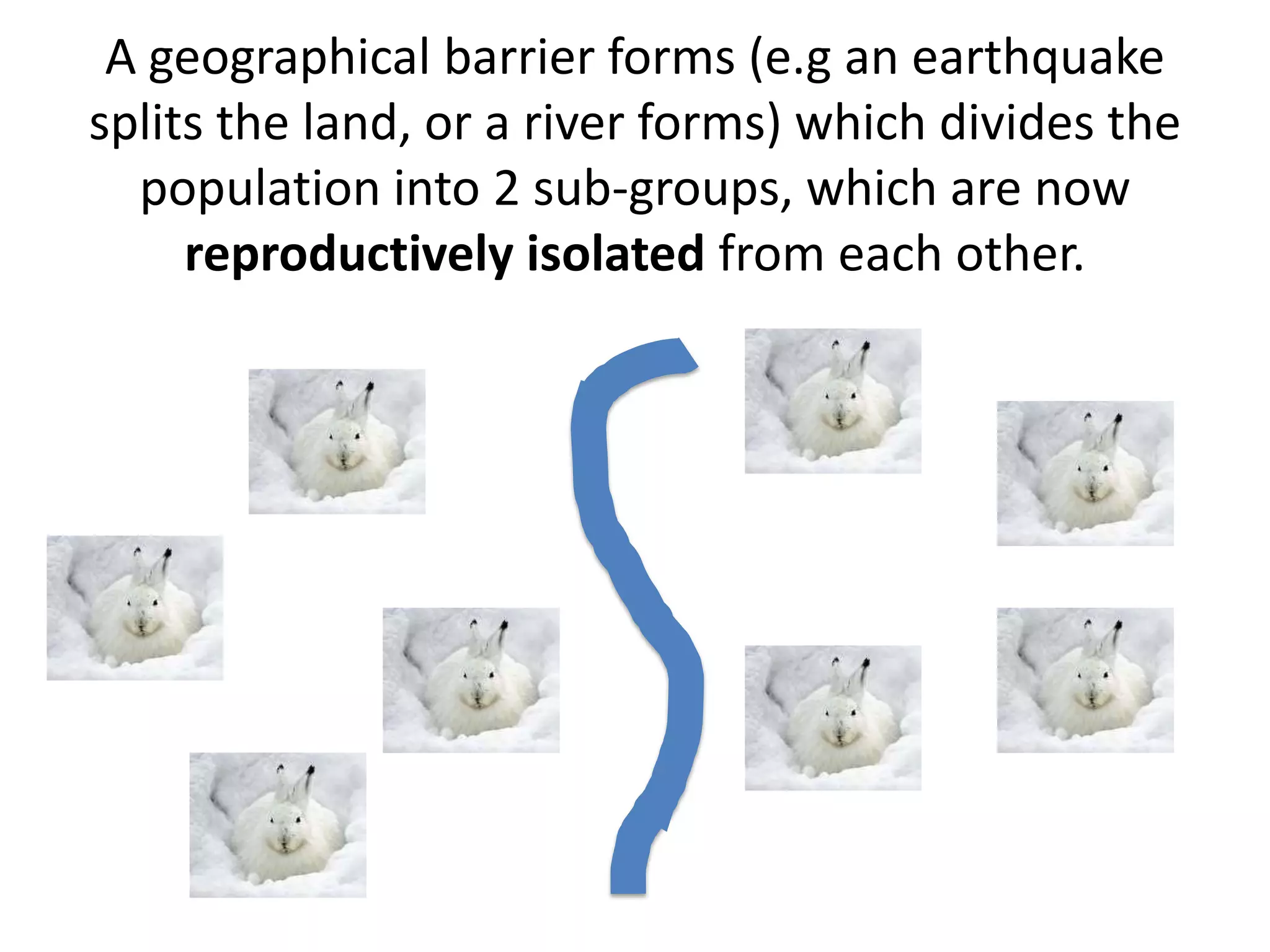 Speciation made simple | PPT