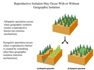 Speciation presentation in systemetic | PPT | Biological Sciences | Science