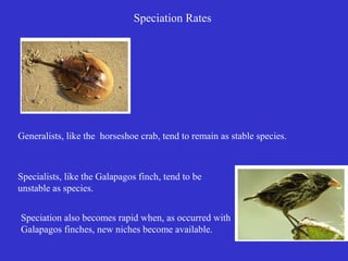 Speciation presentation in systemetic | PPT | Biological Sciences | Science