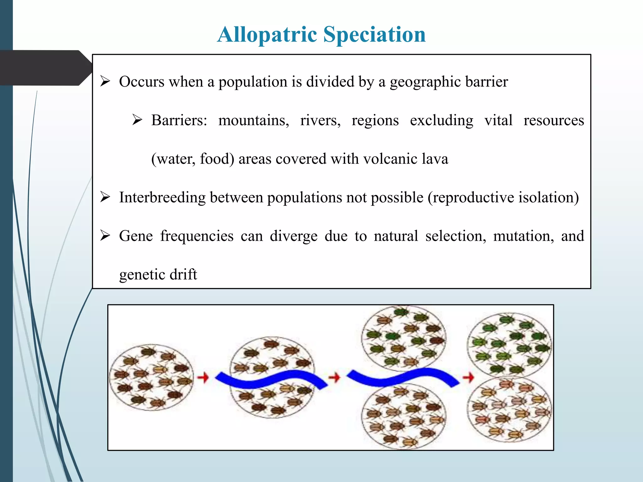 Speciation & types of evolution | PPT