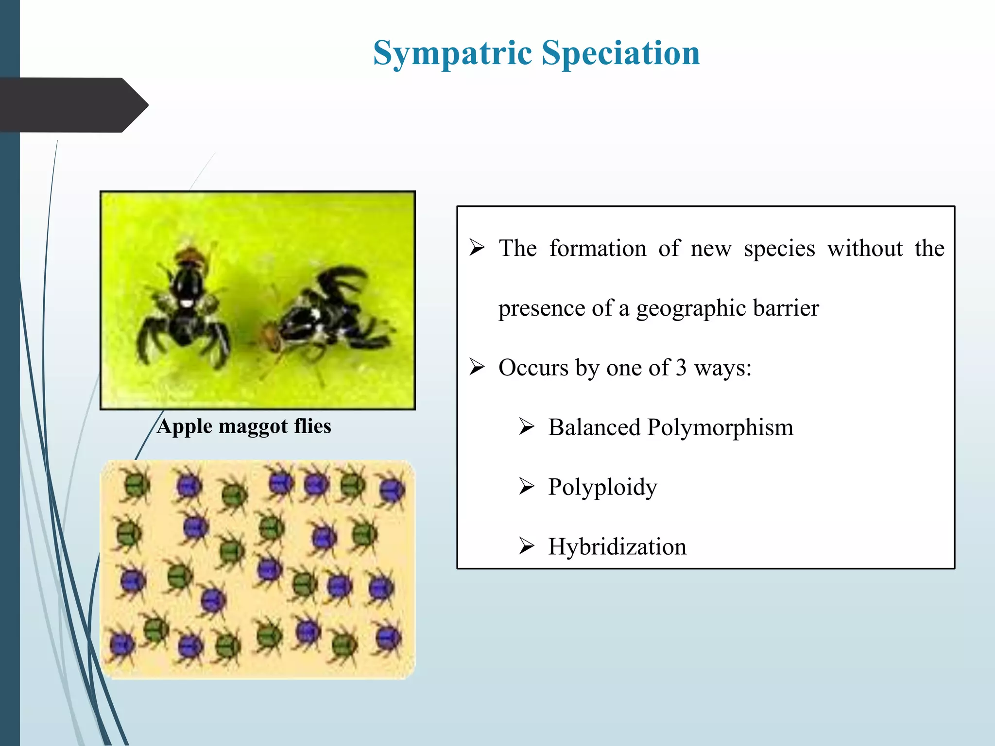 Speciation & types of evolution | PPT
