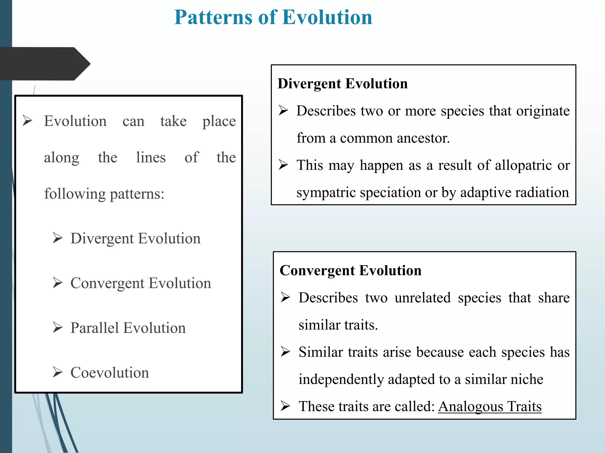 Speciation & types of evolution | PPT