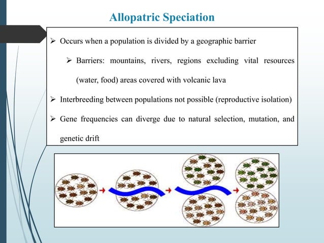 Speciation & types of evolution | PPT